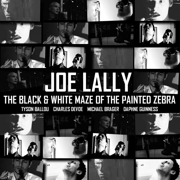 The Black & White Maze of the Painted Zebra A Film by Joe Lally - Its ...