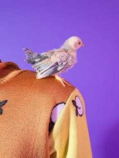 Introducing Nathan Klein - Its Not You Its Me Media