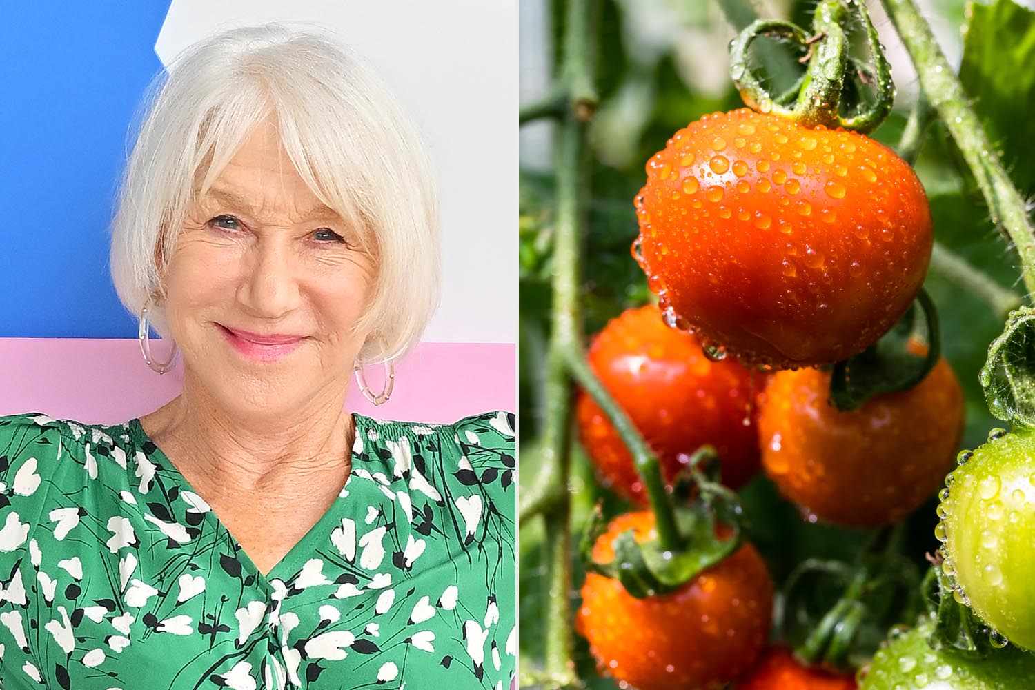 Wednesday Whimsy: Helen Mirren Is Going Viral For Explaining Why ...