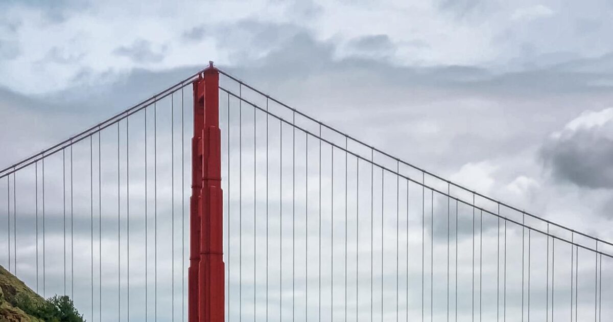 Cocaine Coyotes… What Fun In San Fran Sun - Its Not You Its Me Media