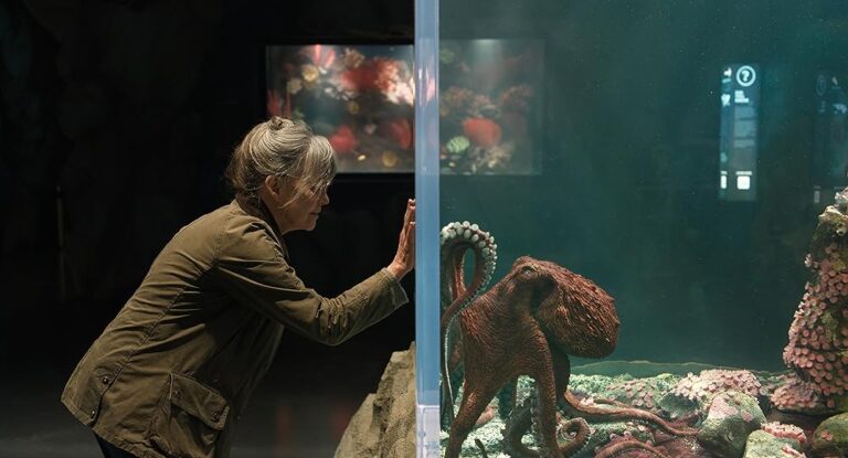 Remarkably Bright Creatures Trailer: Sally Field Stars in Netflix ...